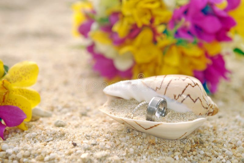 Wedding Rings in the Shells on the Sand. Stock Image - Image of woman ...