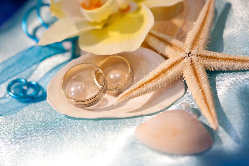Wedding Rings On The Shells And Starfish Stock Image - Image of macro ...