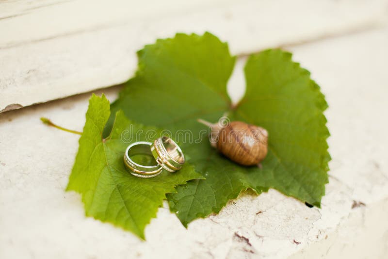 Wedding rings stock photo. Image of diamond, romance - 39135026