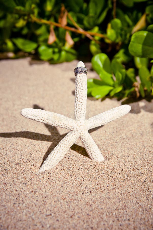 Wedding Rings on Starfish stock photo. Image of nature - 35106336