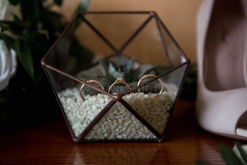 Wedding Rings in a Transparent Box Stock Photo - Image of gold, married ...