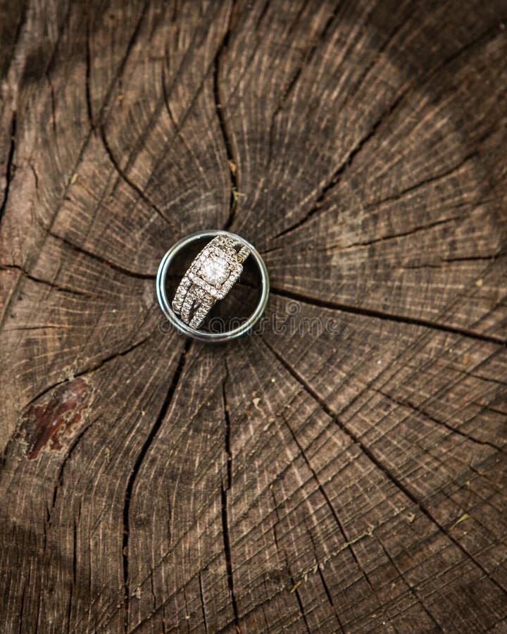 Wedding Rings on a Tree Stump Showing the Rings of the Tree Stock Photo ...