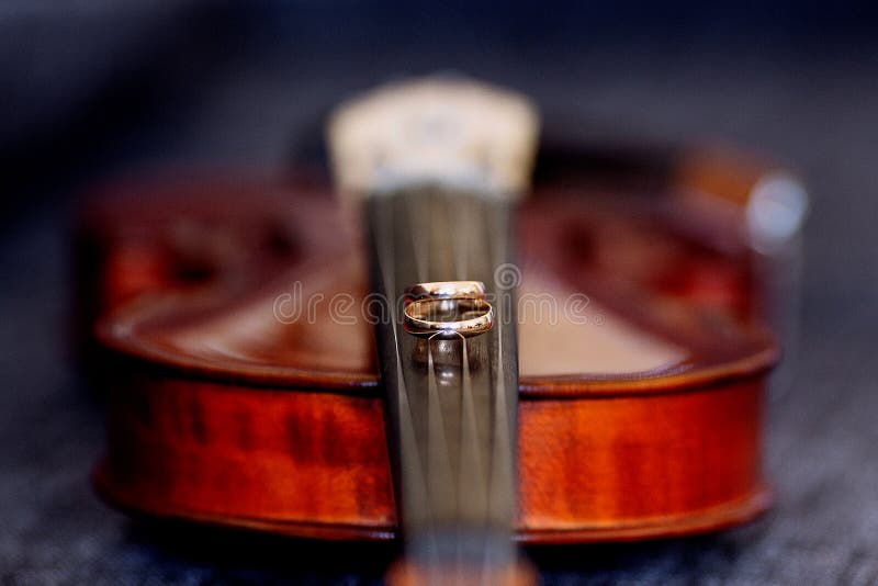 Wedding Rings on the Violin Stock Image - Image of natural, luxury ...