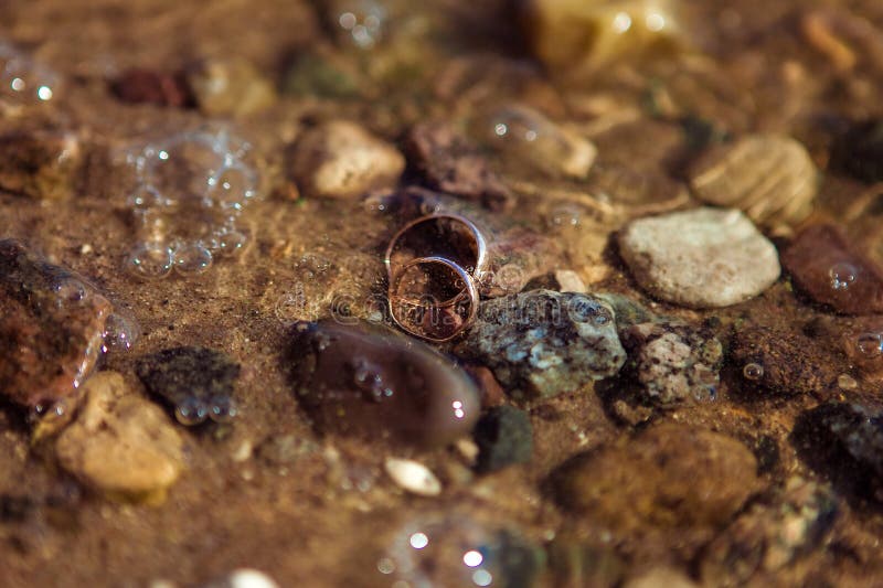 Wedding Rings in Water with Stones Stock Image - Image of sand, macro ...