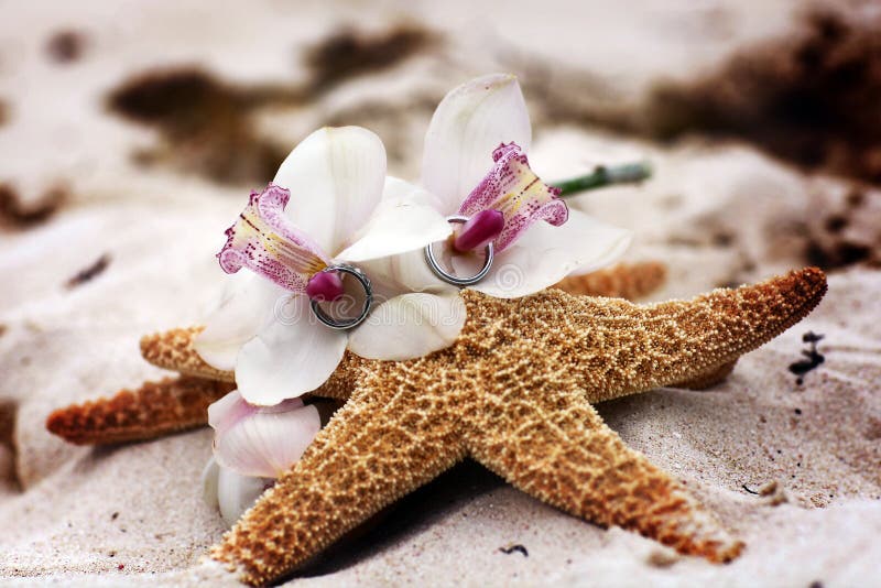 Wedding Rings at White Orchid and Starfish on the Beach Stock Image ...