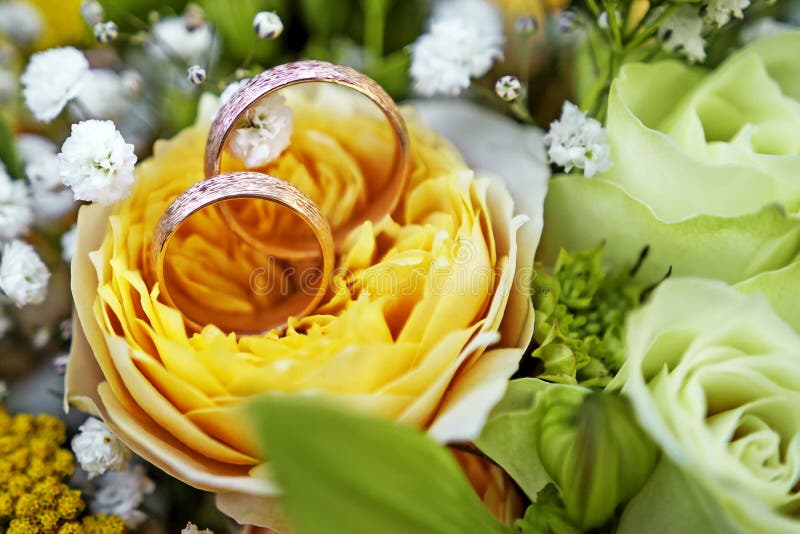Wedding Rings in a Yellow Rose Stock Photo - Image of matrimonial ...