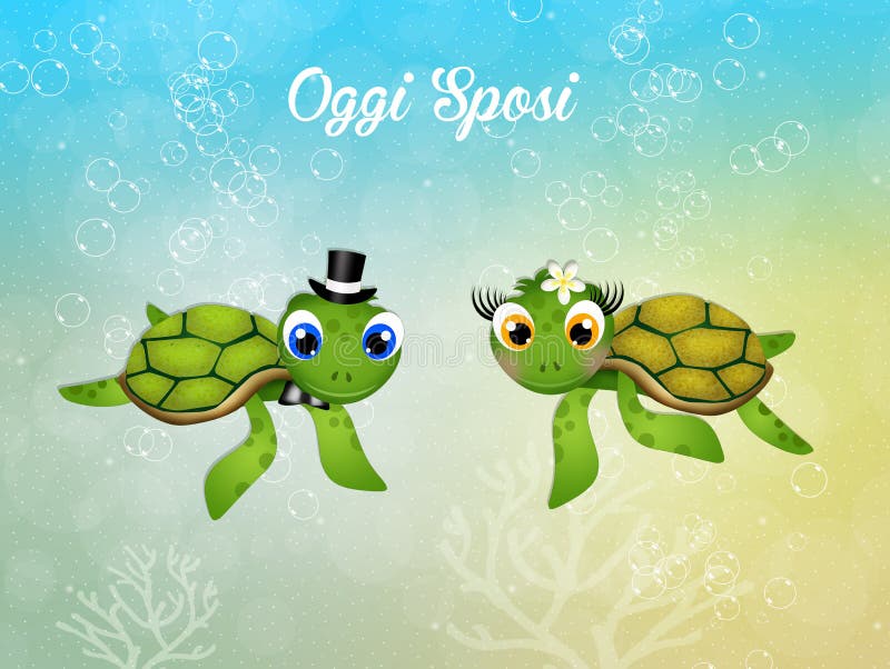 Sea Turtles Wedding