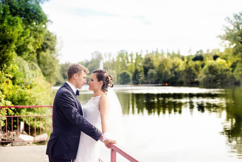 Wedding Session in the Park Stock Photo - Image of celebration ...