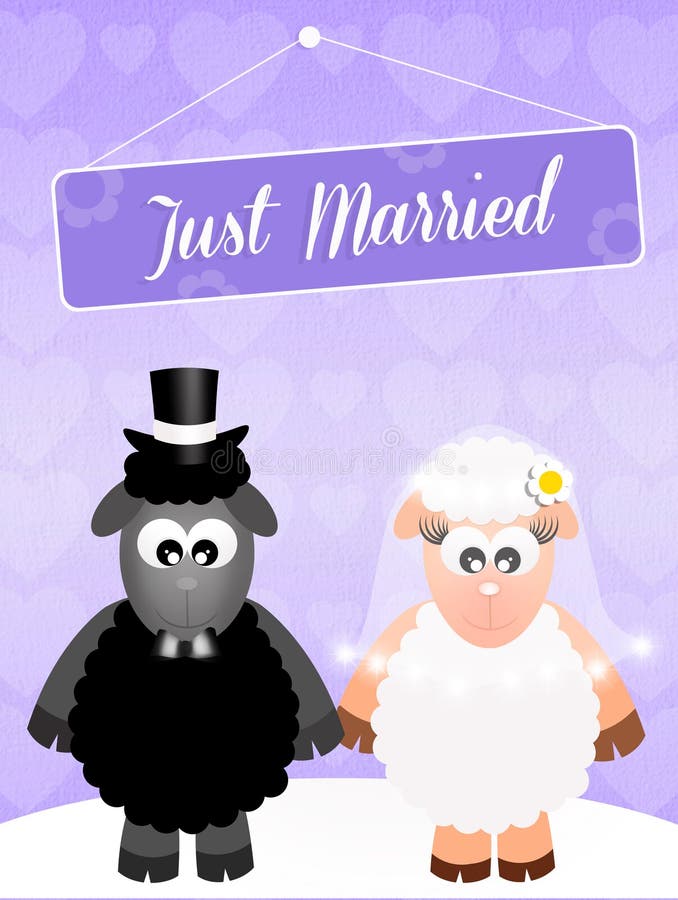 Wedding of sheeps stock illustration. Illustration of sheep - 37212485