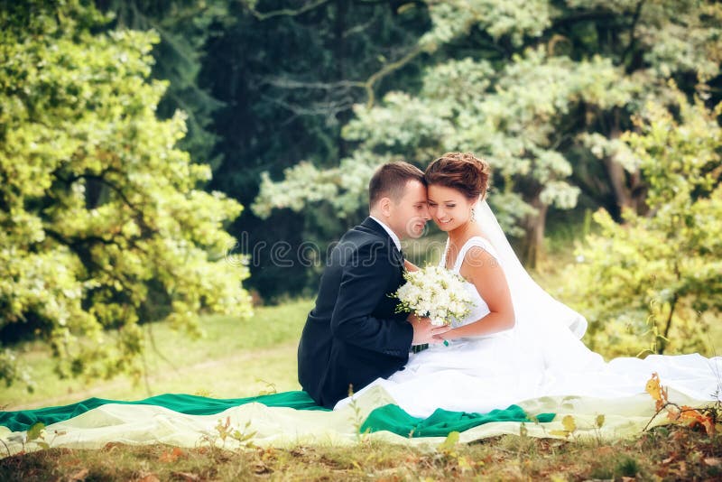 Intimate Young Couple during Foreplay Stock Image - Image of lady ...
