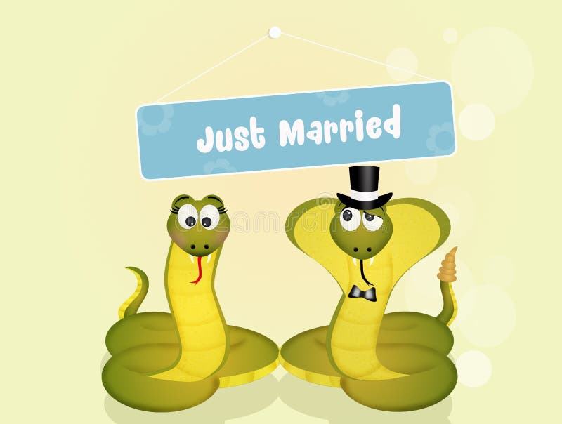 Wedding of snakes stock illustration. Illustration of reptile - 96517510