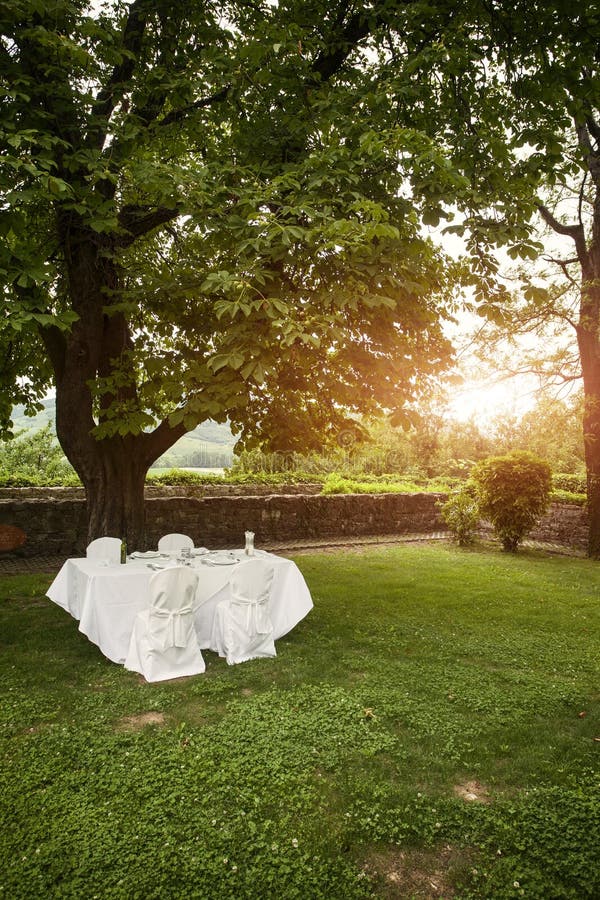 Wedding Table Under the Tree Stock Image - Image of outdoors, sunshine ...