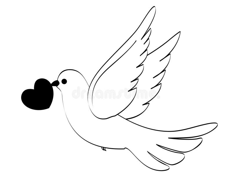 Tauben der Liebe vektor abbildung. Illustration von flugwesen - 8017532
