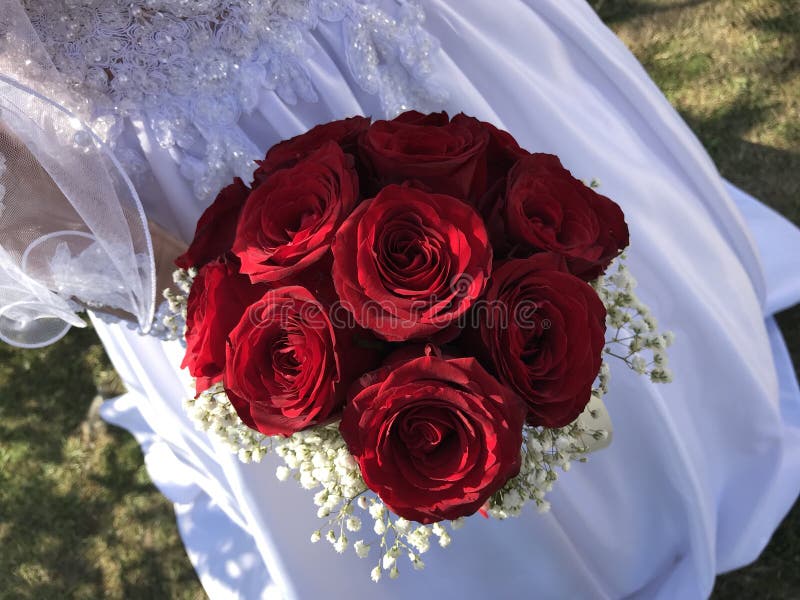 Wedding stock photo. Image of followers, time, wedding - 102029298