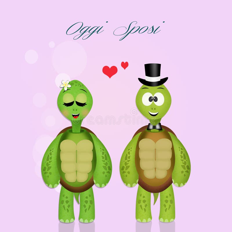 Two turtles in love stock illustration. Illustration of love - 8282139