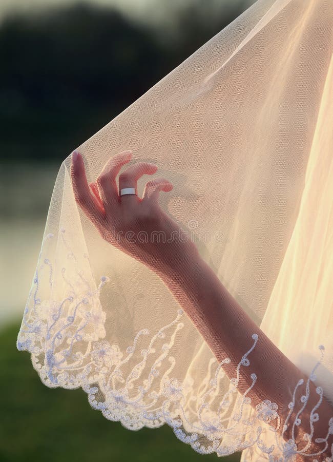 Wedding Veil stock photo. Image of yand, ring, veil, accessory - 26353946