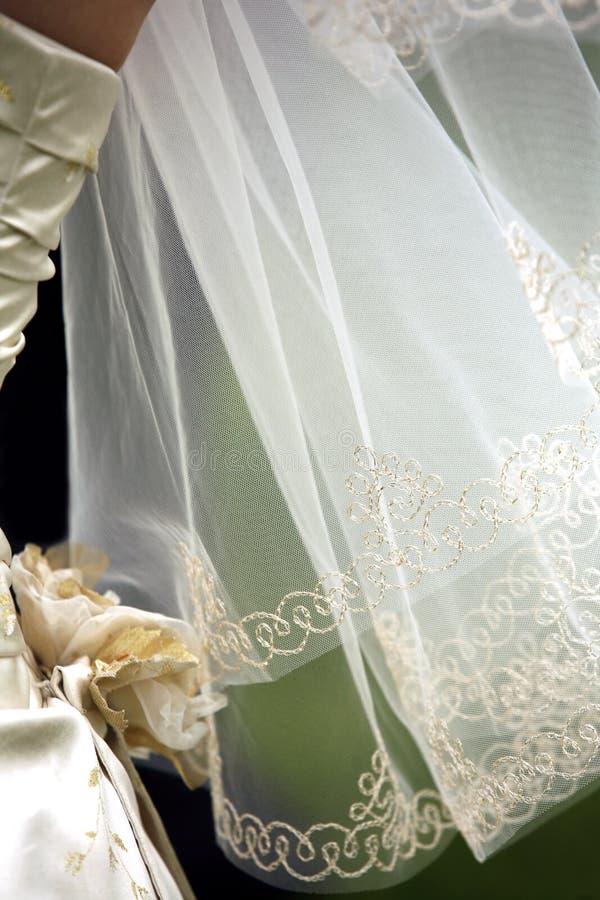 Wedding veil stock photo. Image of breeze, concept, bridal - 6646666