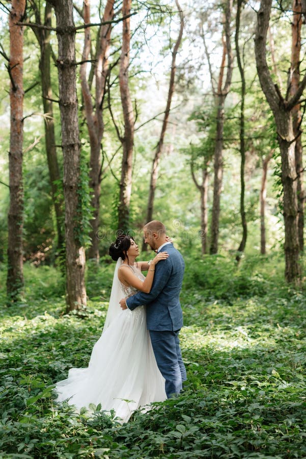 Wedding Walk of the Bride and Groom in the Deciduous Stock Photo ...