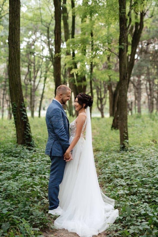 Wedding Walk of the Bride and Groom in the Deciduous Stock Image ...