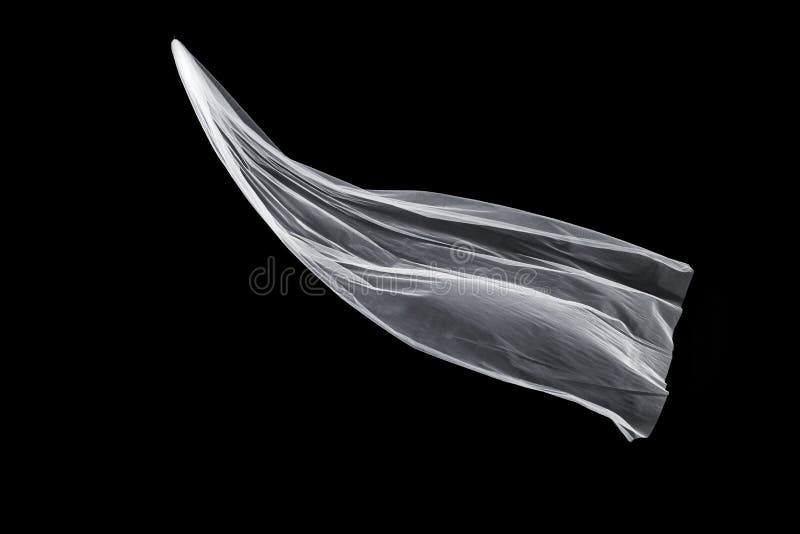 Wedding White Bridal Veil Isolated on Black Background Stock Photo ...