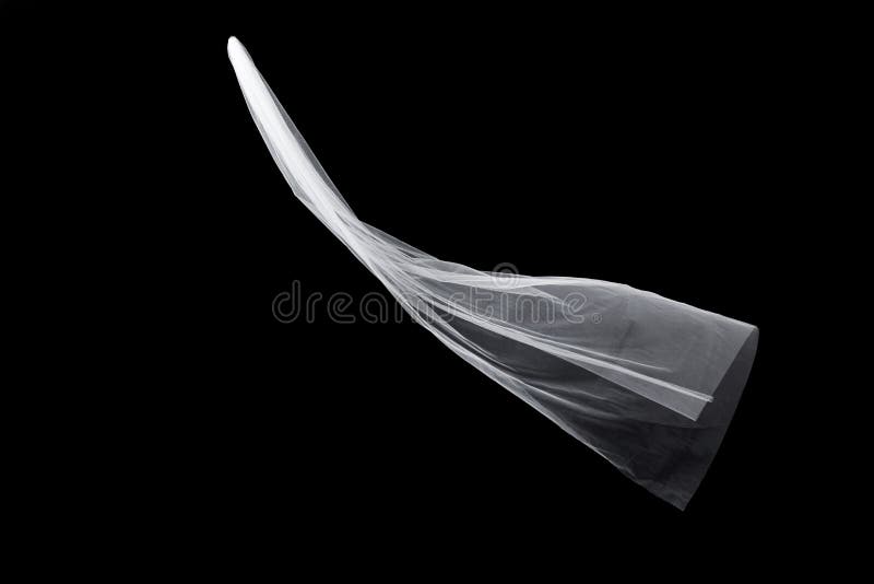 Wedding White Bridal Veil Isolated on Black Background Stock Photo ...