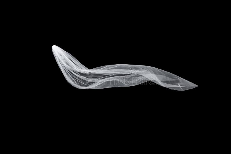 Wedding White Bridal Veil Isolated on Black Background Stock Image ...