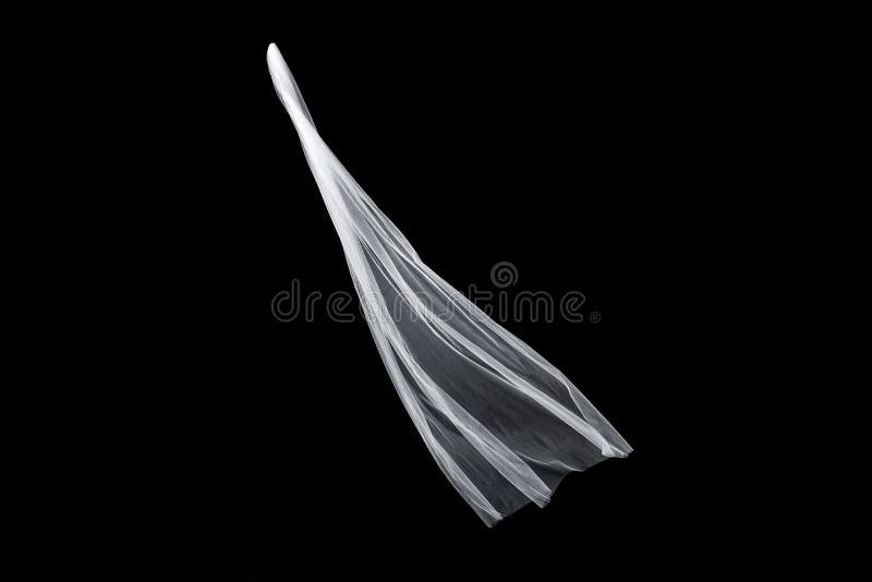 Wedding White Bridal Veil Isolated on Black Background Stock Image ...