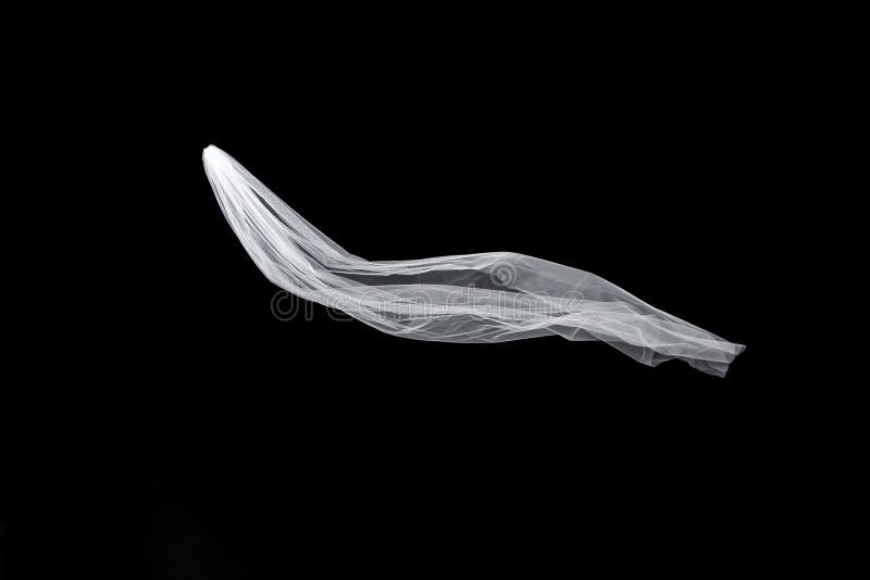 Wedding White Bridal Veil Isolated on Black Background Stock Image ...