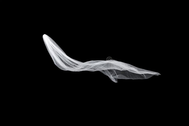 Wedding White Bridal Veil Isolated on Black Background. Veil Flutters ...