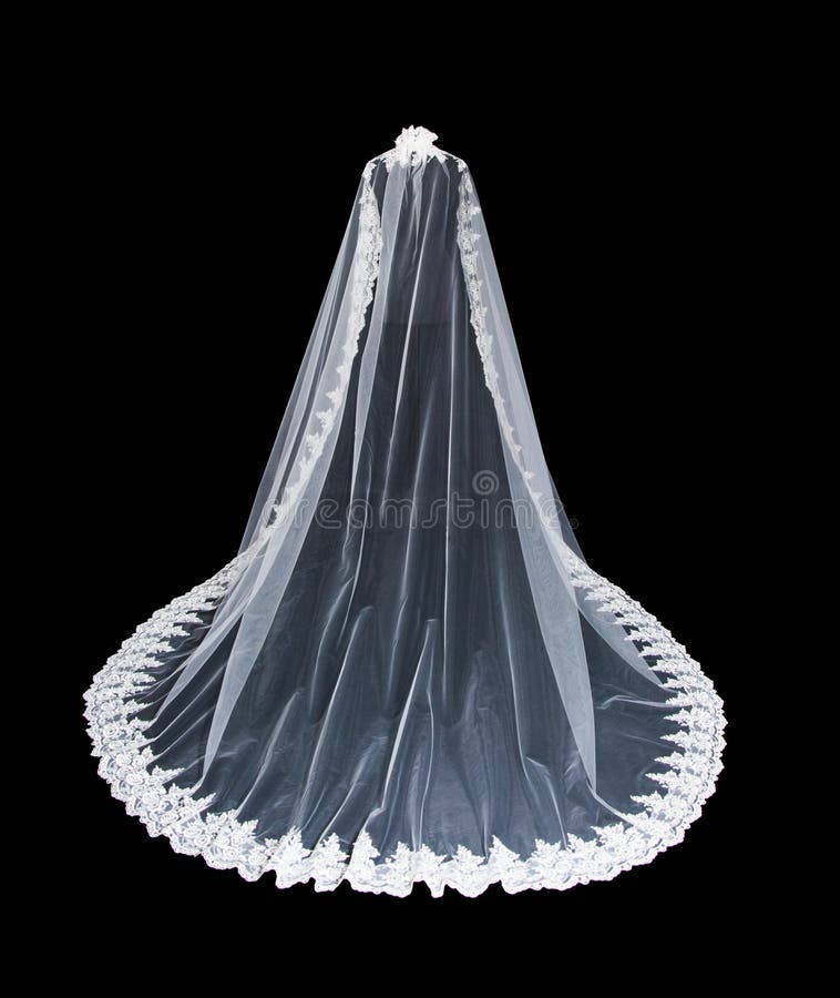 Wedding white veil stock image. Image of abstract, elegance - 79242939