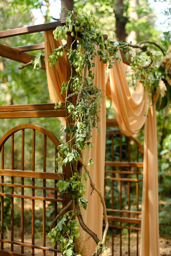 Wedding Yellow Arch in Green Trees Background. Stock Image - Image of ...