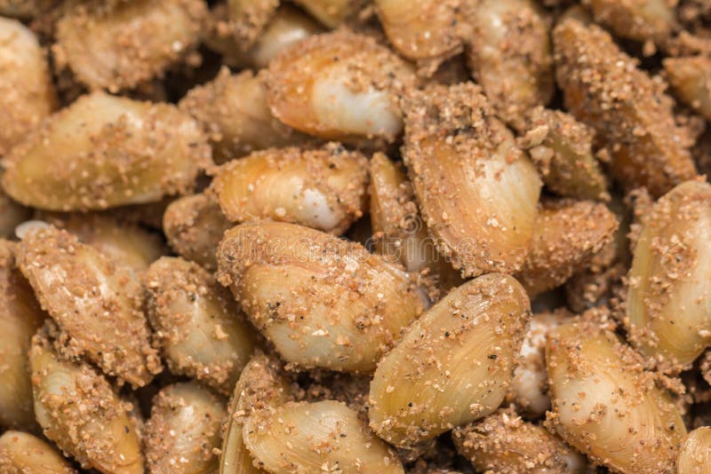 Wedge shells stock image. Image of thailand, delicacy - 64059671