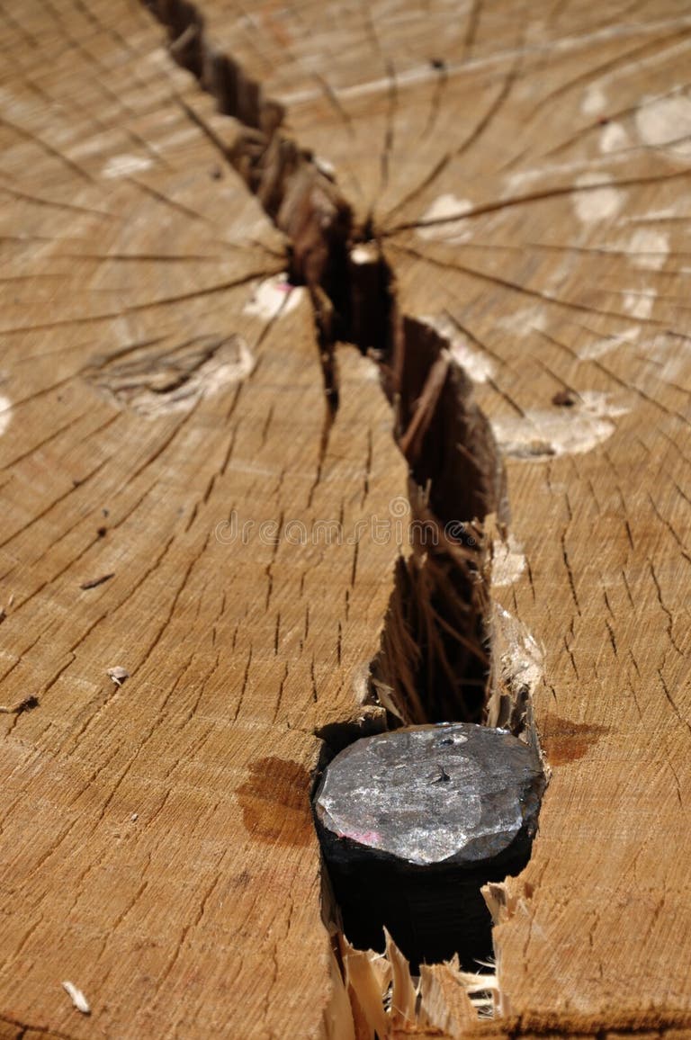 2,390 Axe Wood Texture Stock Photos - Free & Royalty-Free Stock Photos ...