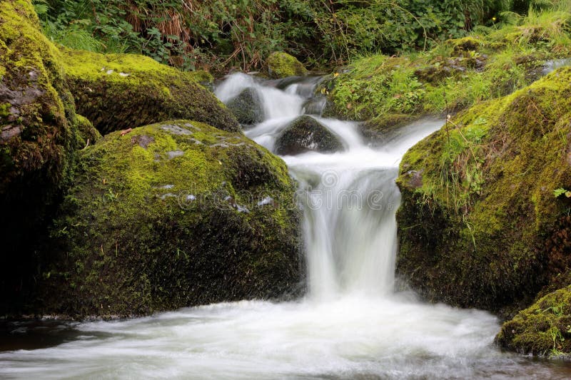 Stream Hoots Stock Photos - Free & Royalty-Free Stock Photos from ...