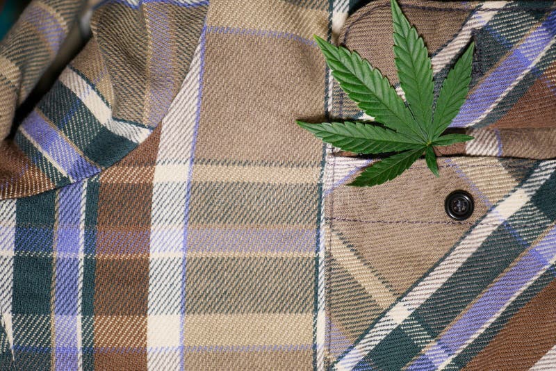 Cannabis Leaf on Textile Texture. Stock Image - Image of organic ...