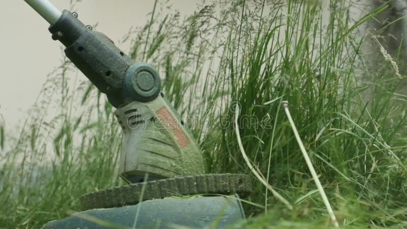 Weed Cutting with String Trimmer in Slow Motion. Home Landscaping and ...