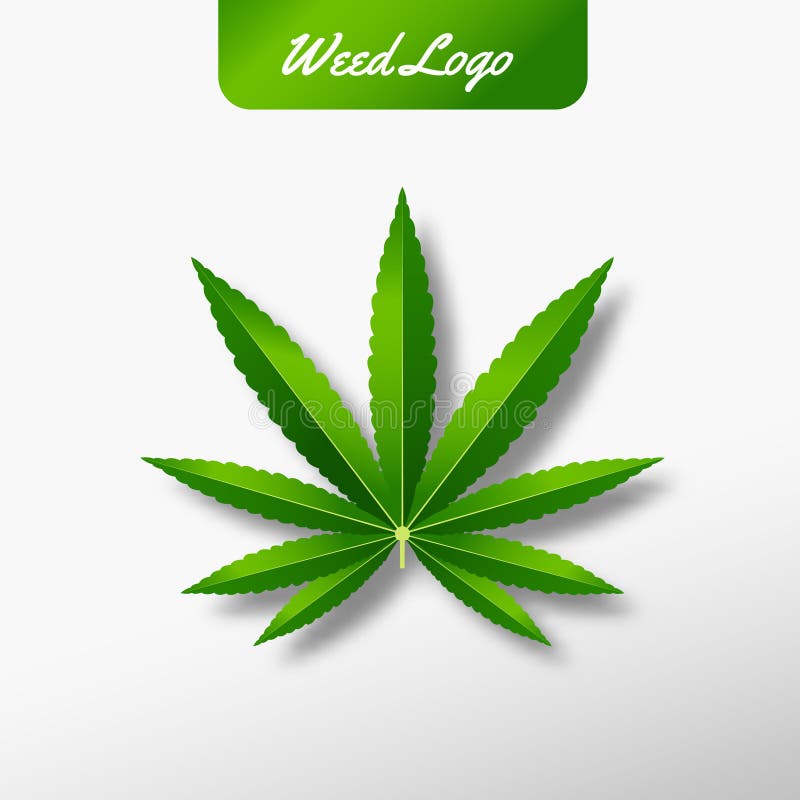 Weed Leaf Logo stock vector. Illustration of clean, logo - 364760764