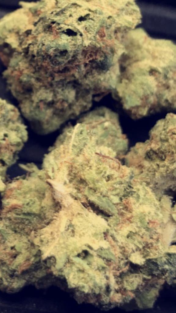 Weed stock image. Image of look, weed, perfect, texture - 121155291