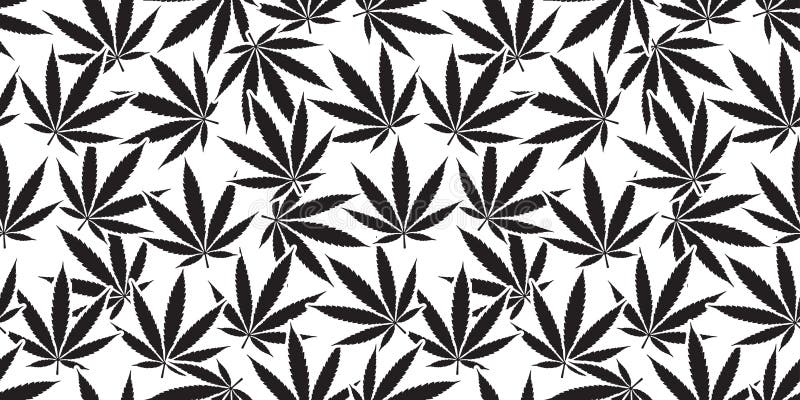 Weed Marijuana Cannabis Seamless Pattern Leaf Isolated Background ...