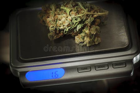 Weed on a marijuana scale stock photo. Image of legal - 24192622