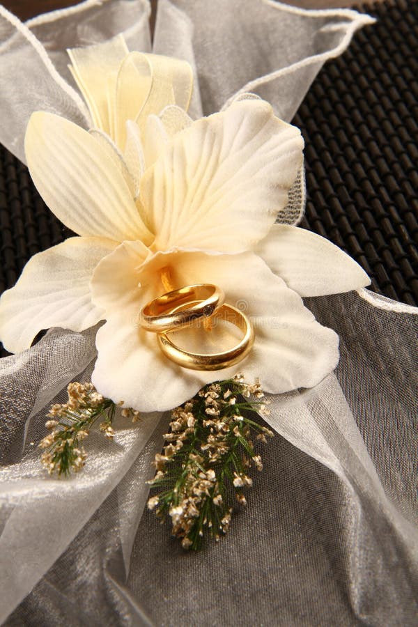 Weedding Gold Rings in Frame Stock Image - Image of ring, white: 61872761