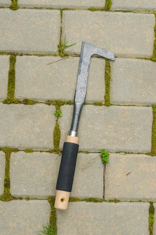 Weeding Hook Tool on Stone Pavement with Moss, Ready for Garden ...