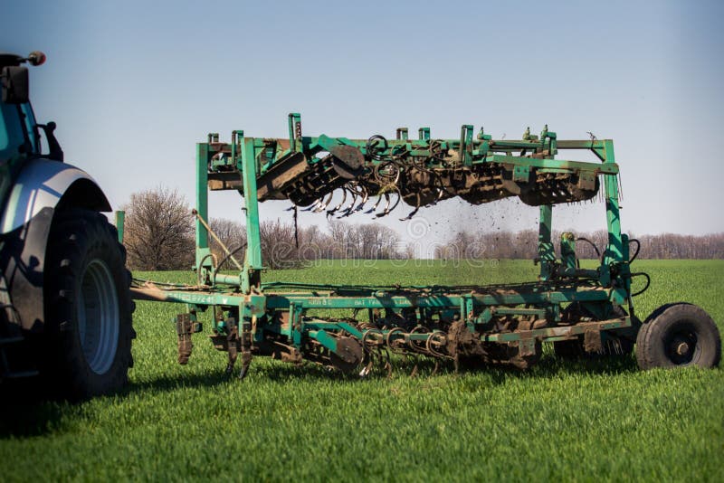 Weeding-machine Behind Tractor on Green Wheat Field Stock Photo - Image ...