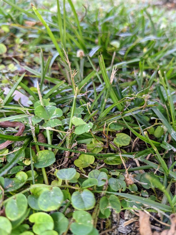 Salizan Binti Khozizan (Bintusa) - Photographer profile