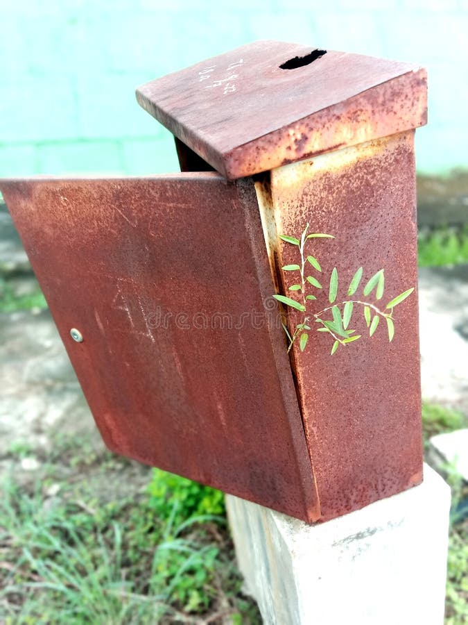 Weeds Live in a Rusty Former Electrical Panel Box Stock Photo - Image ...