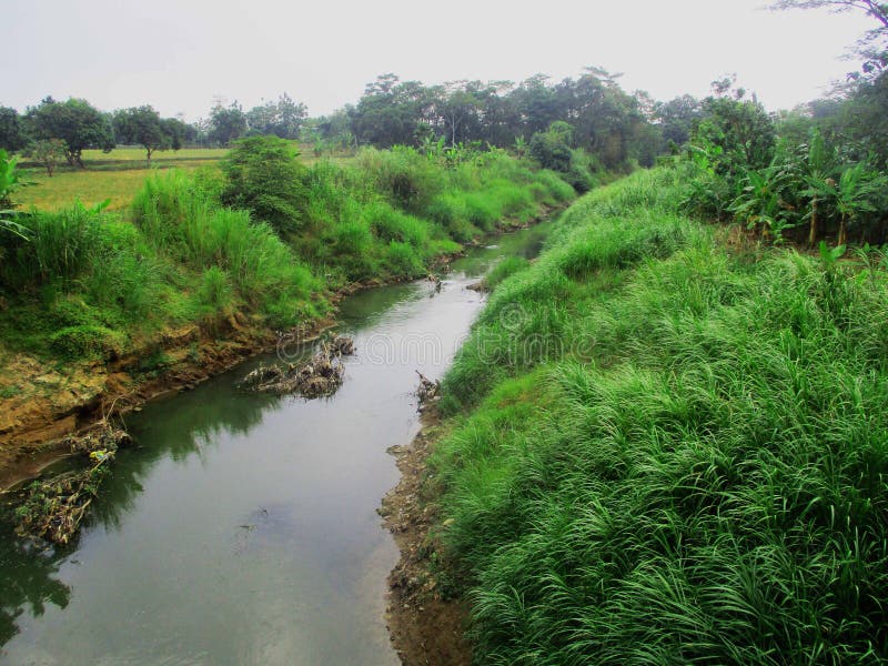 The River Flow is Used for Plantations and Rice Fields Stock Photo ...