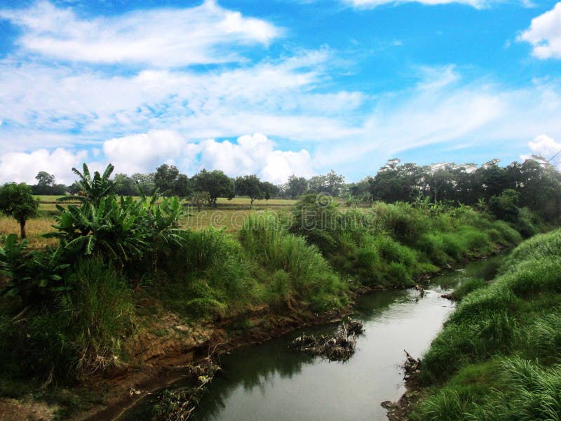 The River Flow is Used for Plantations and Rice Fields Stock Photo ...
