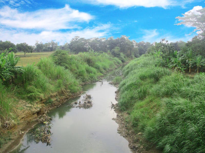 The River Flow is Used for Plantations and Rice Fields Stock Photo ...