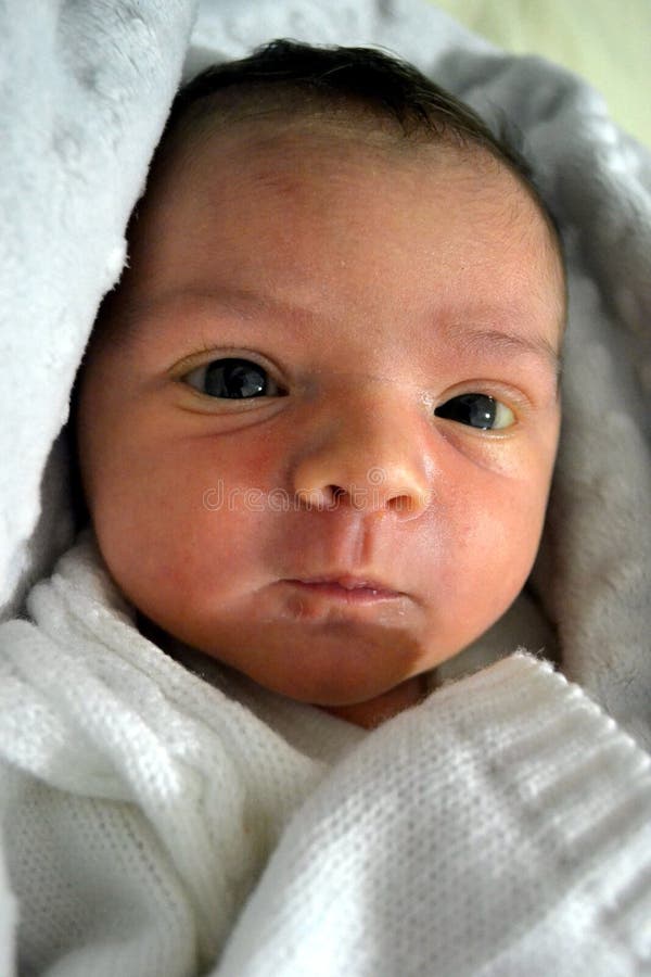 319 Baby 1 Week Stock Photos - Free & Royalty-Free Stock Photos from ...