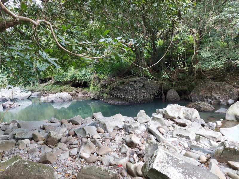 Weekend Comes Time To Relax and Enjoy Swimming in the River and ...